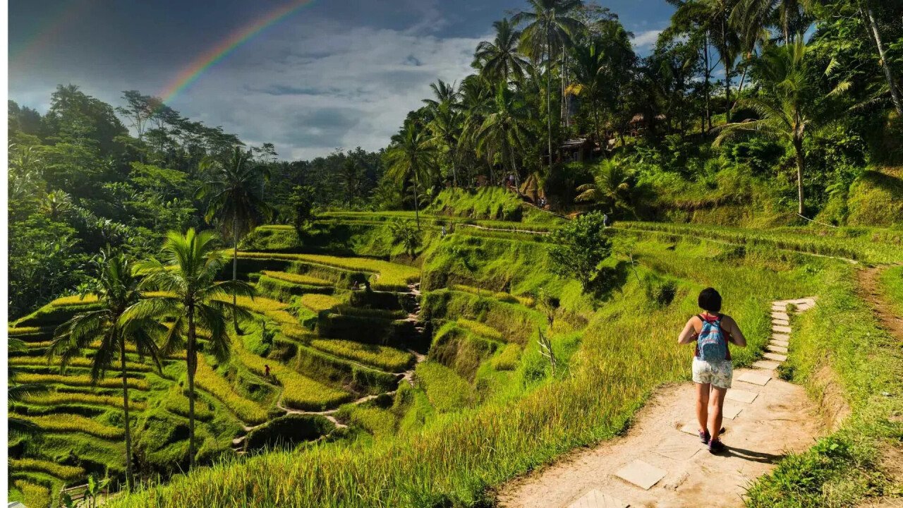 5 Ubud Hiking Trails – scenic paths with temple views and peaceful rice ...